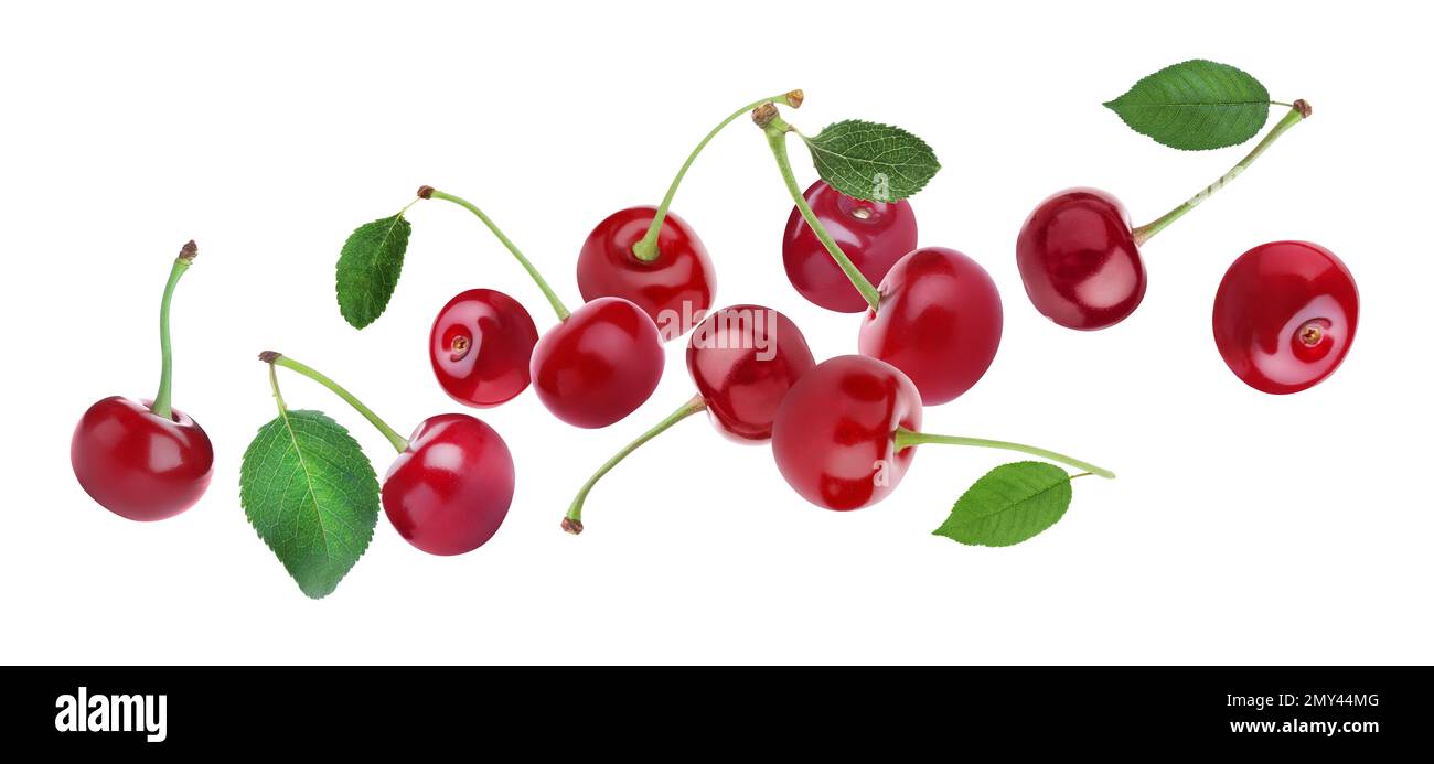 Ripe cherries flying on white background, banner design Stock Photo - Alamy
