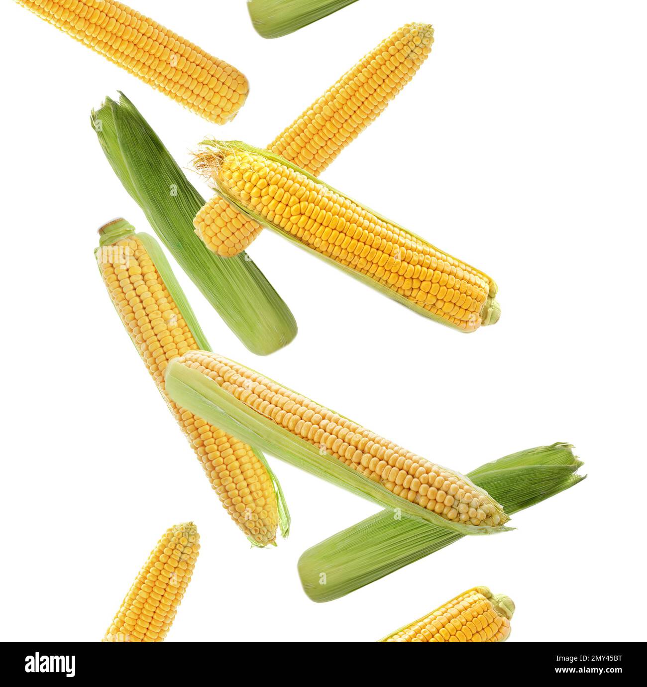 Ripe corn cobs falling on white background Stock Photo - Alamy
