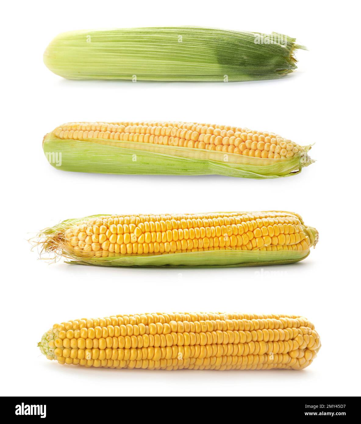 Set of ripe corn cobs on white background Stock Photo - Alamy