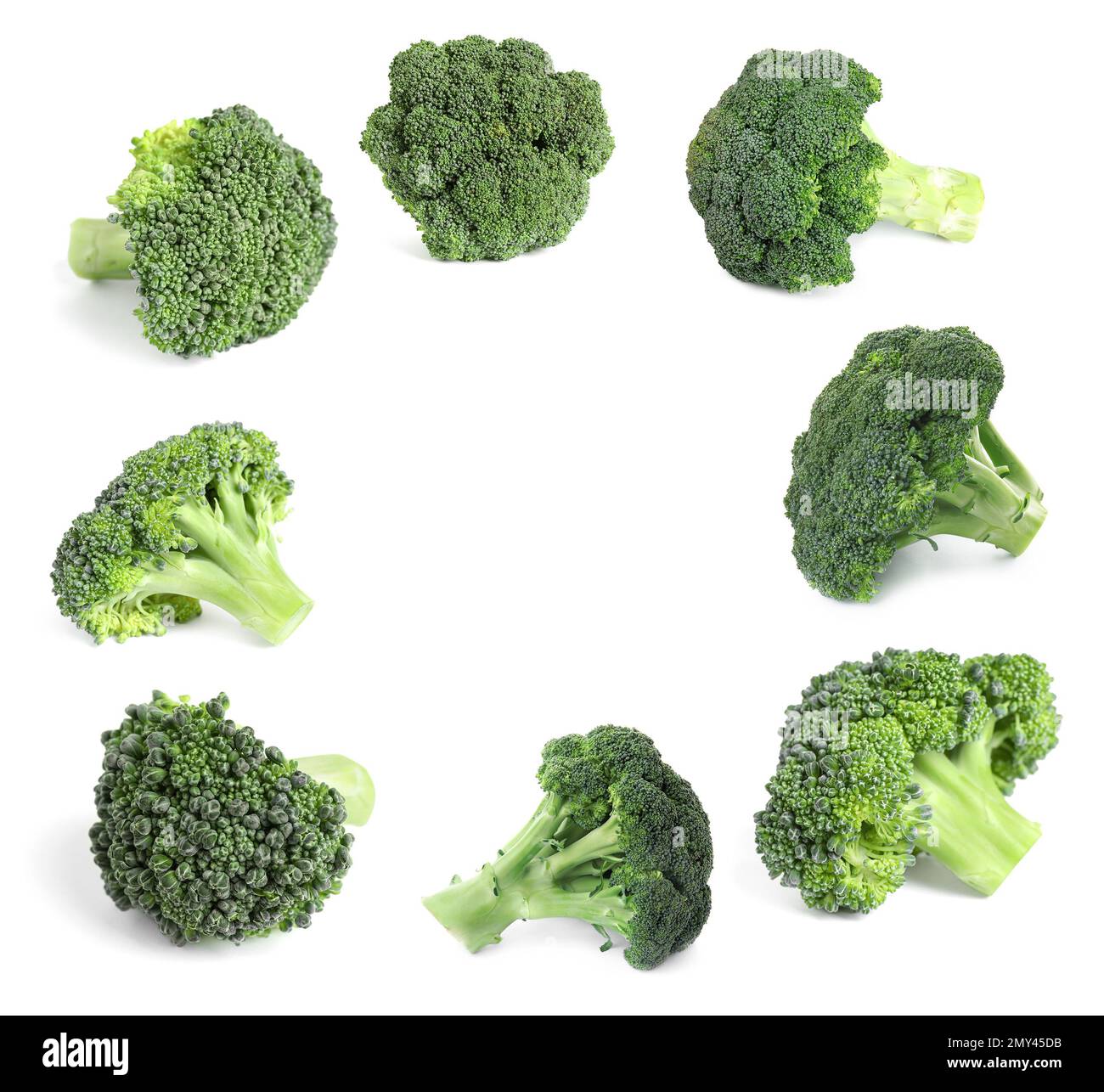 Green broccoli on white background Cut Out Stock Images & Pictures - Alamy