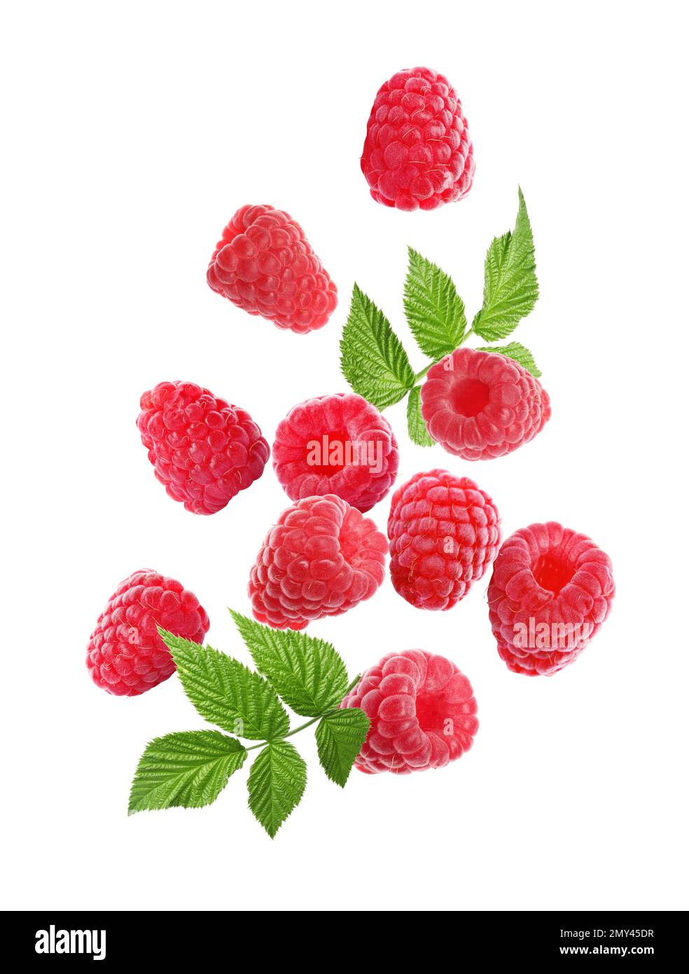 Fresh ripe raspberries with green leaves falling on white background ...