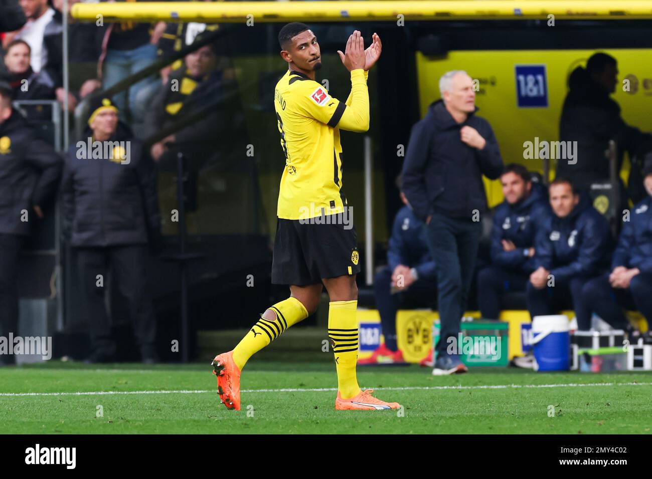DORTMUND, GERMANY - FEBRUARY 4: Sebastien Haller of Borussia Dortmund ...