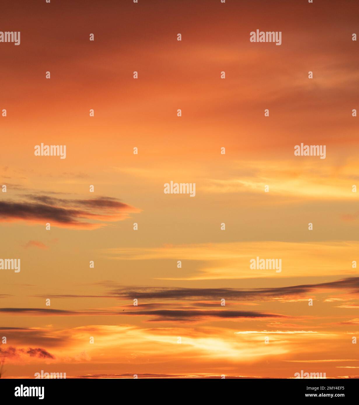 Adobe photoshop sky replacement hi-res stock photography and images - Alamy