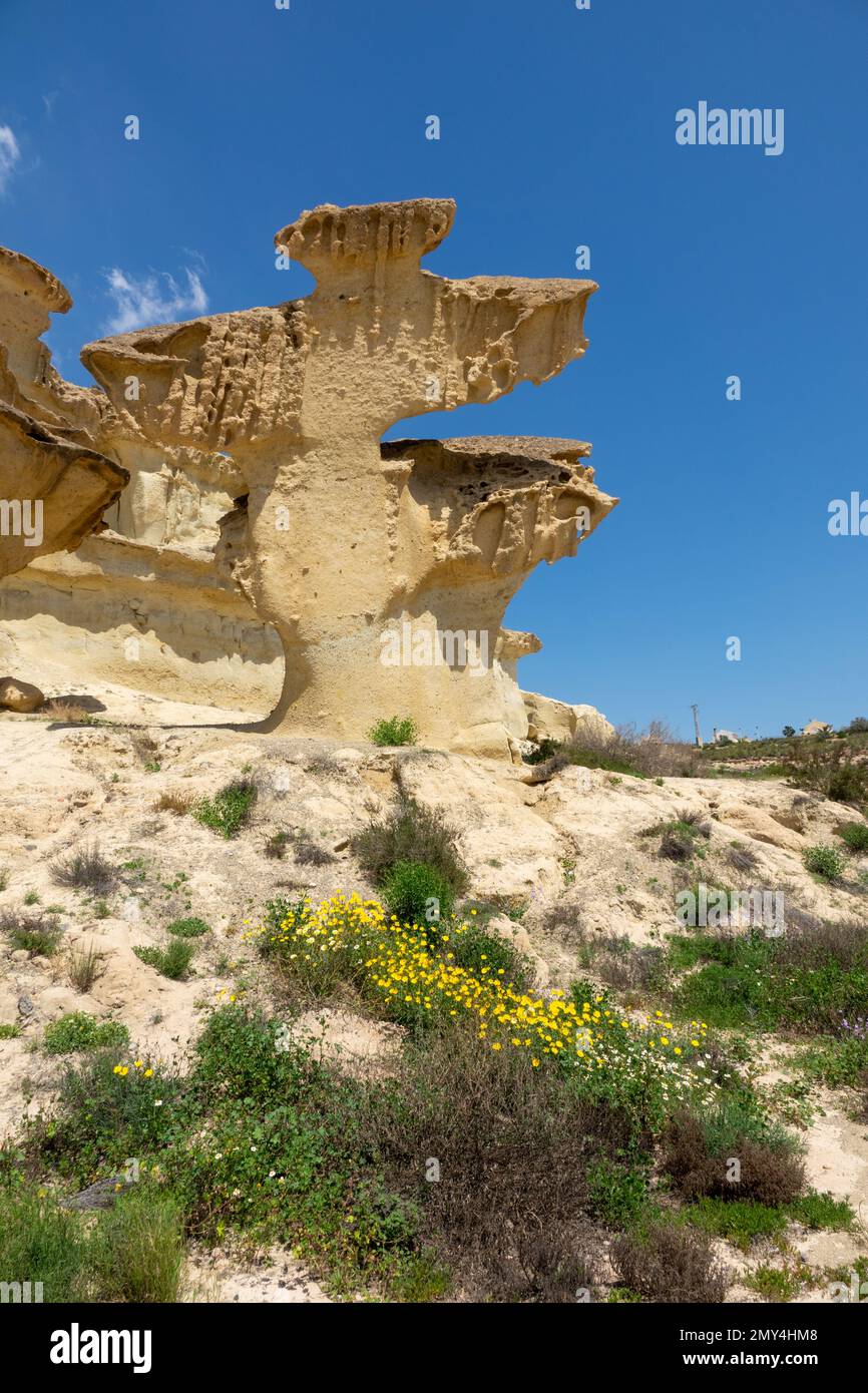 Sandstone shapes, erosions or Gredas of Bolnuevo in Mazarron, Murcia ...