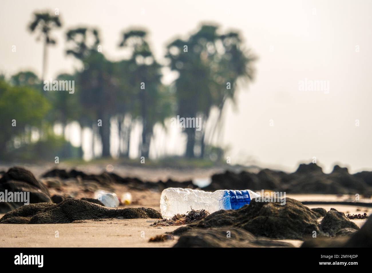 Plastic mineral water bottle on a tropical beach, Sri Lanka, Asia Stock ...