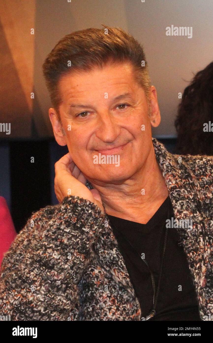 Singer Songwriter Hartmut Engler during the NDR Talk Show at NDR ...