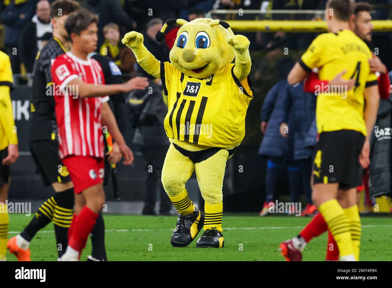 DORTMUND, GERMANY - FEBRUARY 4: Mascotte of Borussia Dortmund during ...