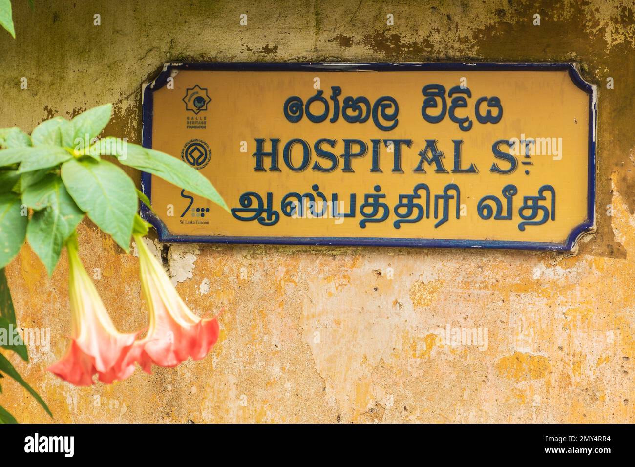 Road sign on Hospital Street .Galle, Sri Lanka Stock Photo - Alamy