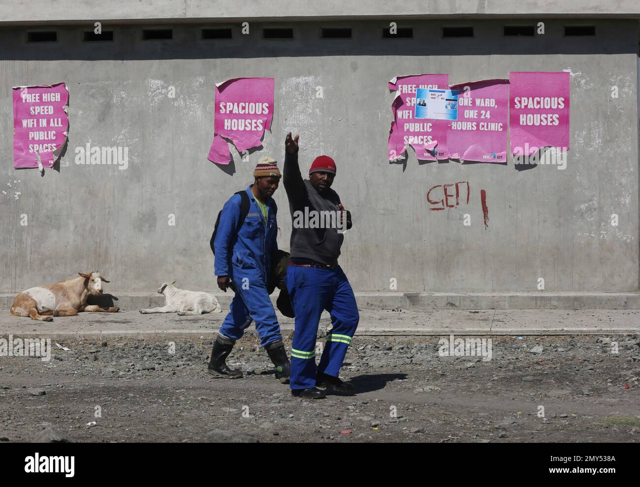 In this photo taken Friday, Aug. 12, 2016 miners make their way past a ...