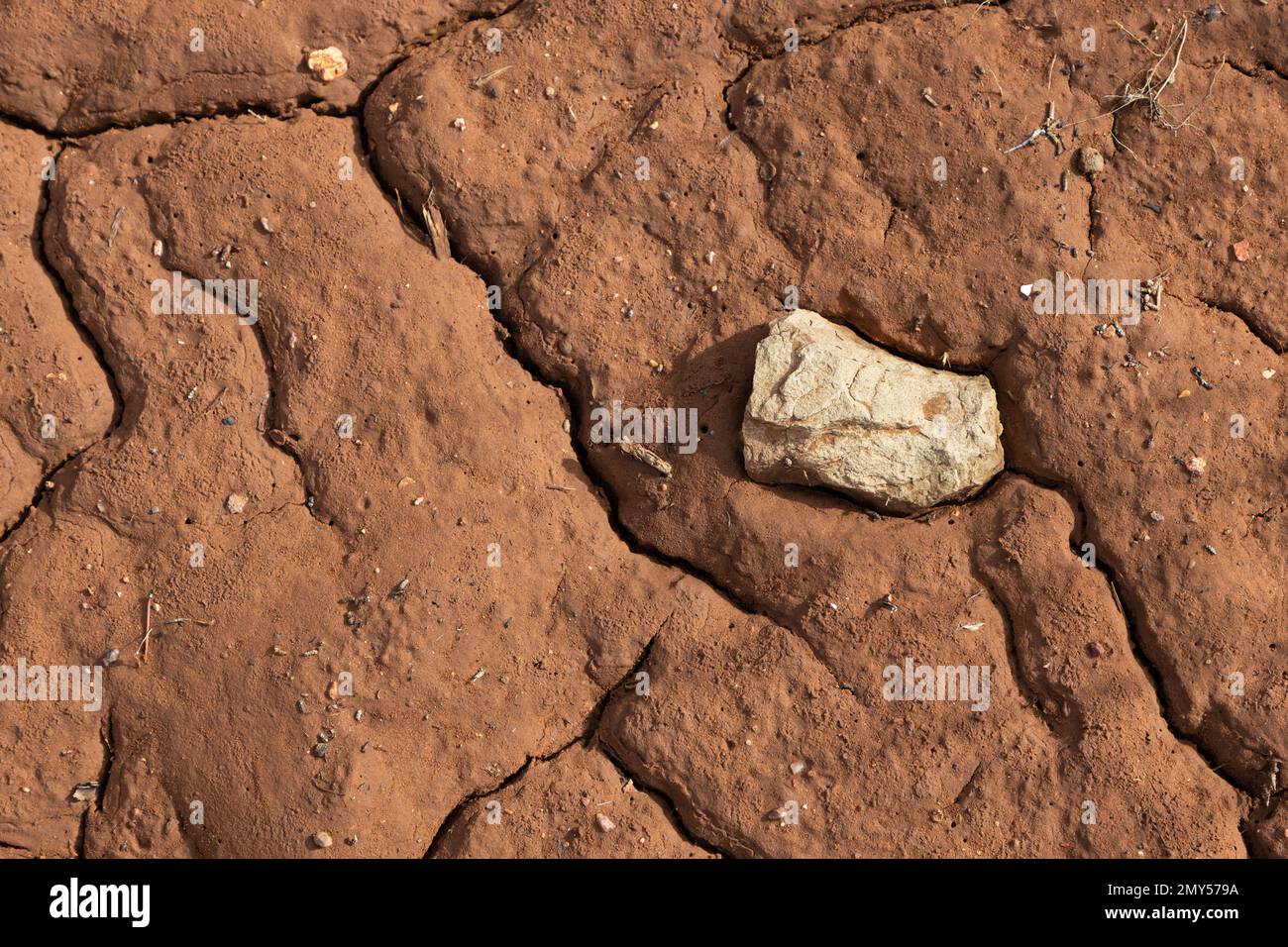 A top-view closeup of a small stone between a red cracked ground Stock ...