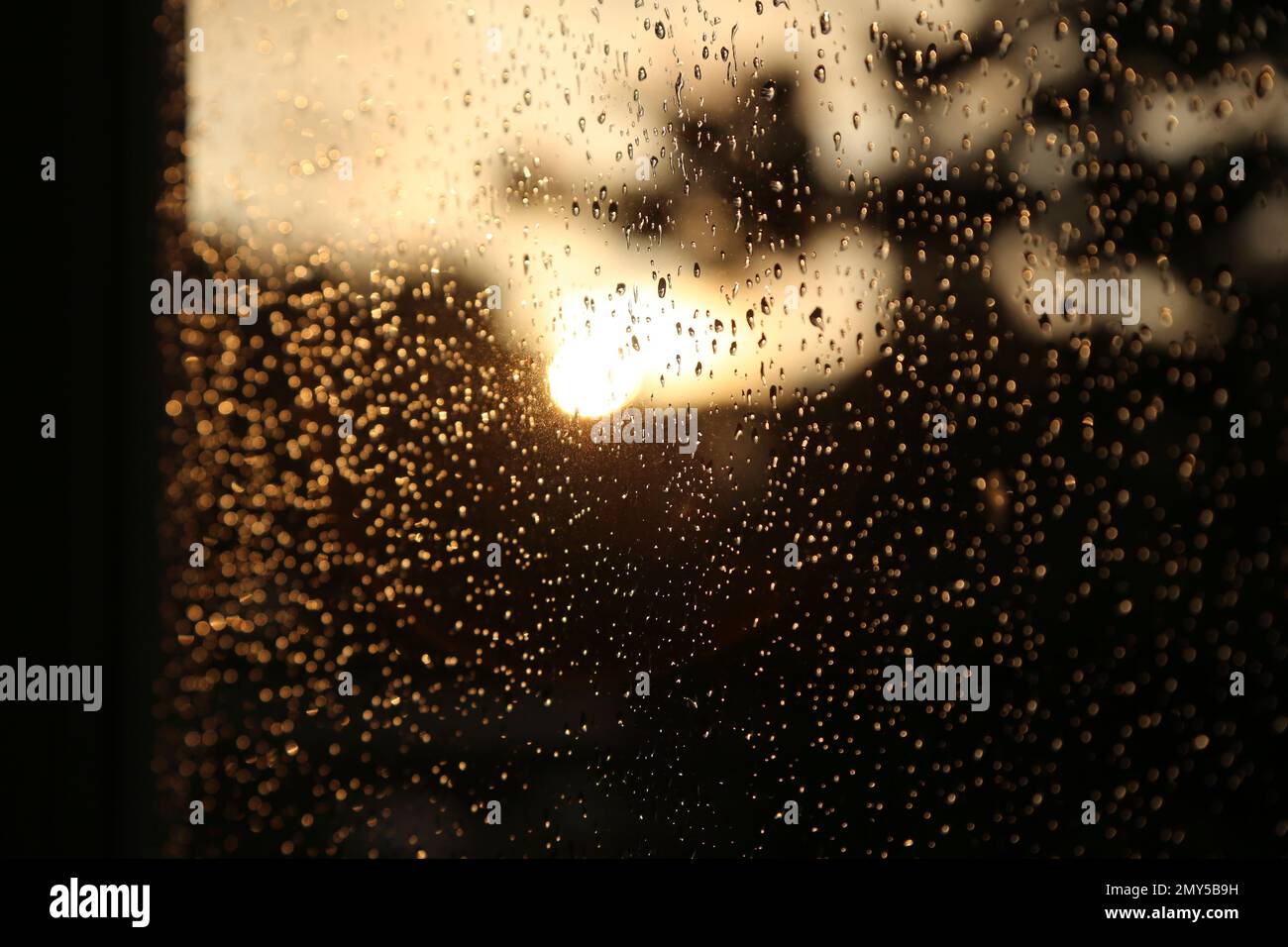 Window with raindrops on the pane and the sun backlighting Stock Photo ...