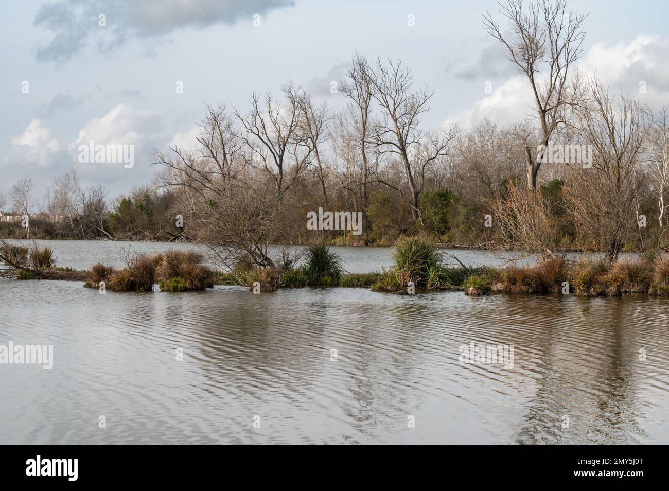 Landscape view over the pond of the Beauchamp pond and swamp, Arles ...