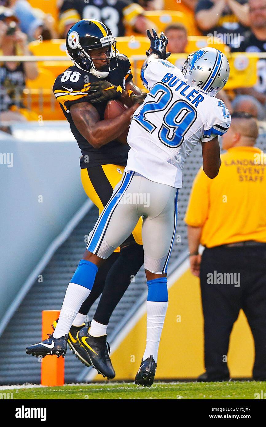 Pittsburgh Steelers wide receiver Darrius Heyward-Bey (88) hauls in a ...