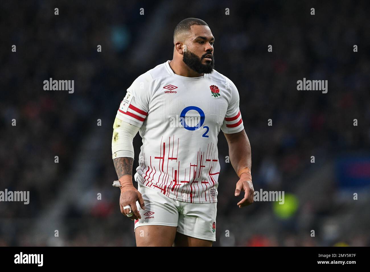 Scotland vs england rugby hi-res stock photography and images - Alamy