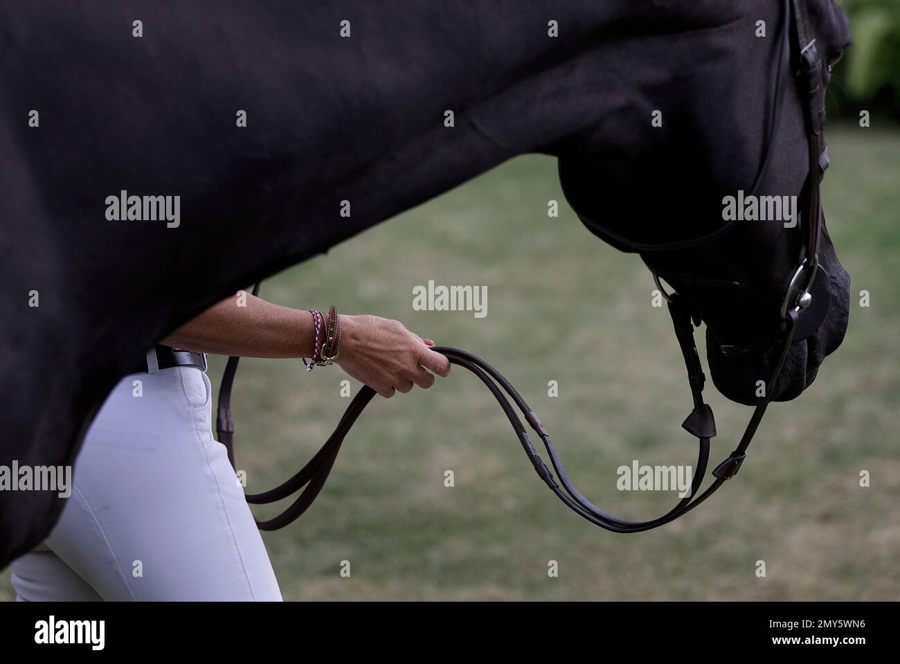 United States' Elizabeth Madden holds Cortes 'C' during a horse ...