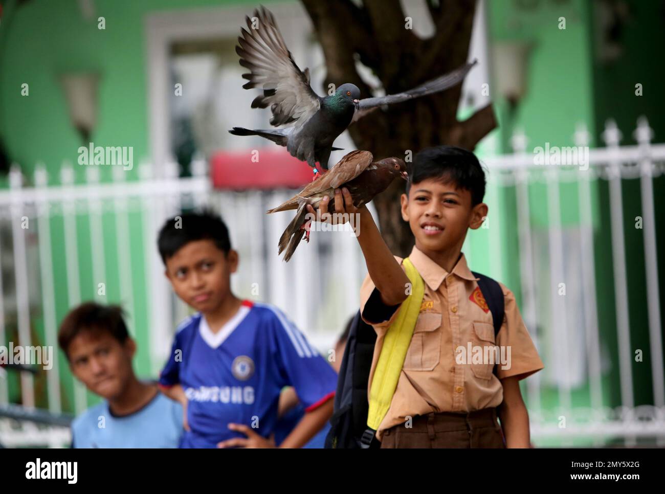 Indonesian boys train their pigeons in Jakarta, Indonesia, Friday, Aug ...