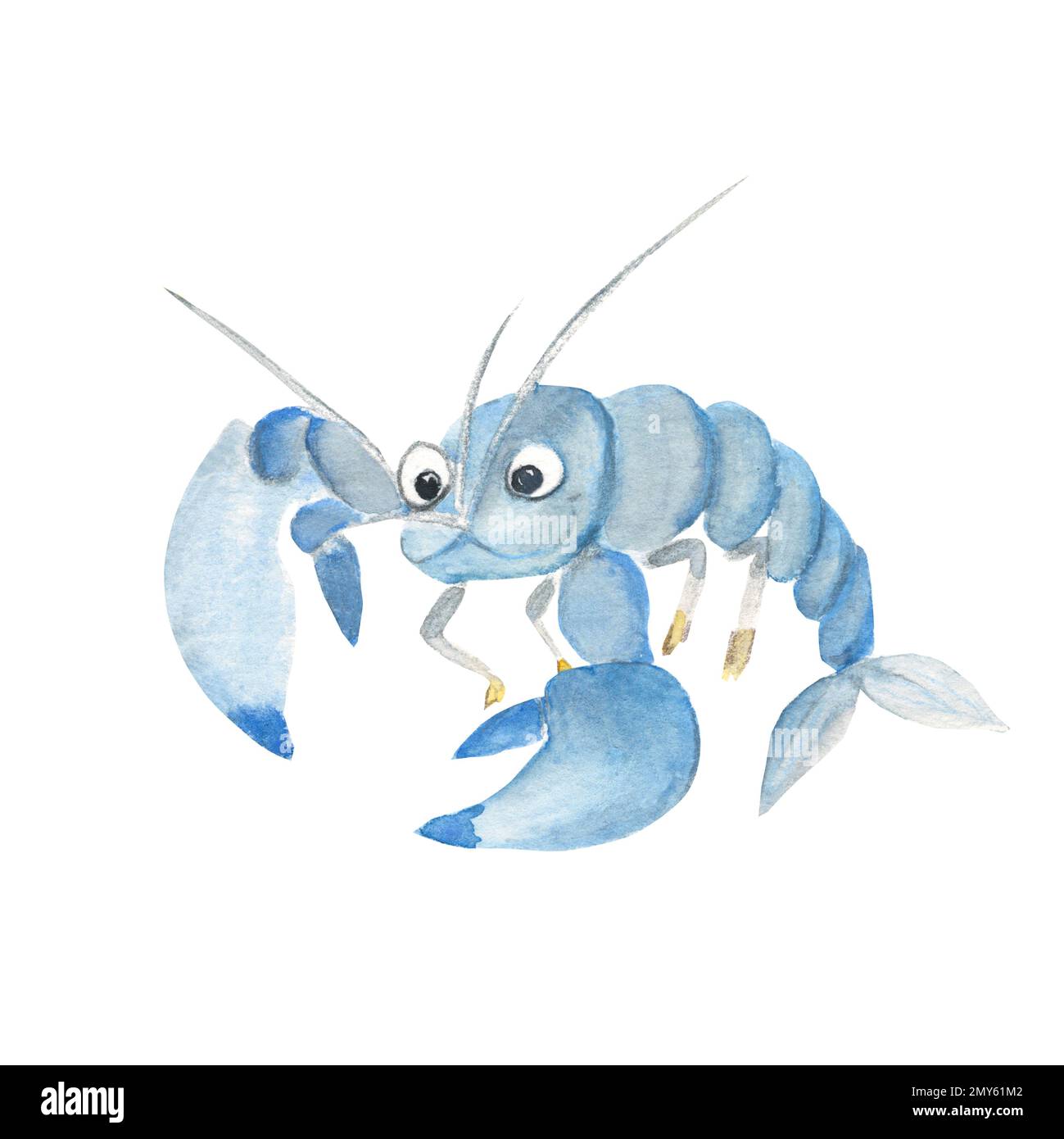 Cute yabby isolated on white background. Watercolor hand drawn ...
