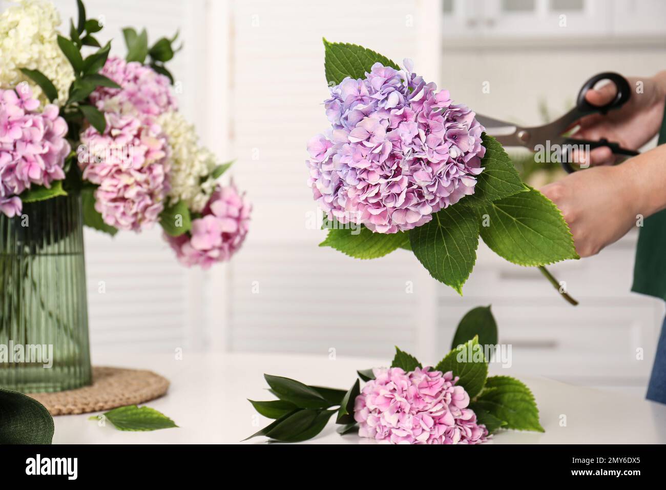 Woman pruning flower stem hi-res stock photography and images - Alamy