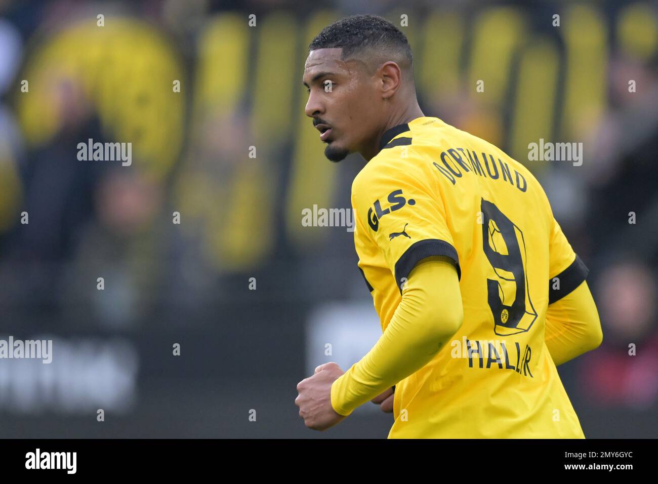 DORTMUND - Sebastien Haller of Borussia Dortmund during the Bundesliga ...