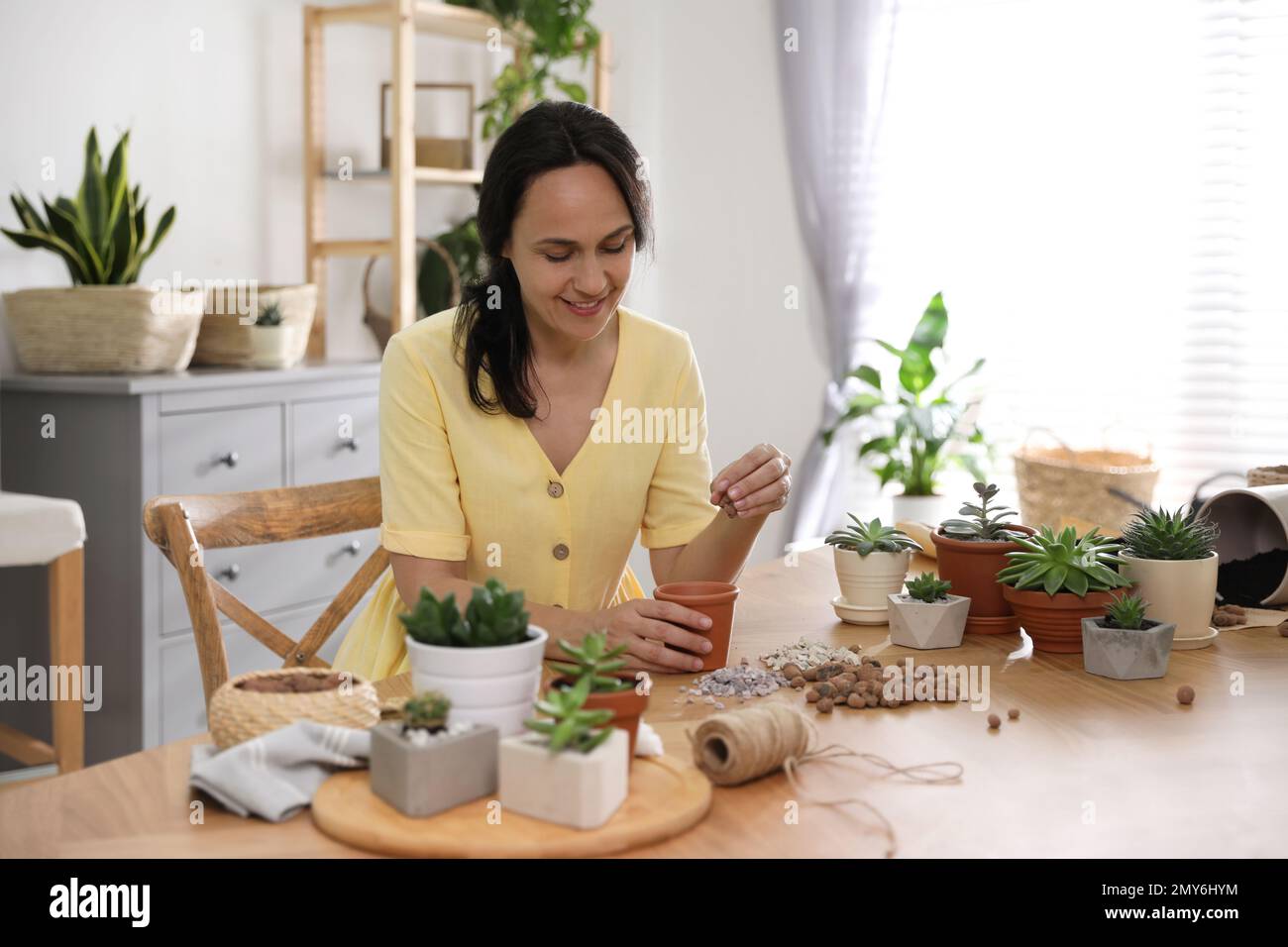 Mature woman potting plant at home. Engaging hobby Stock Photo - Alamy