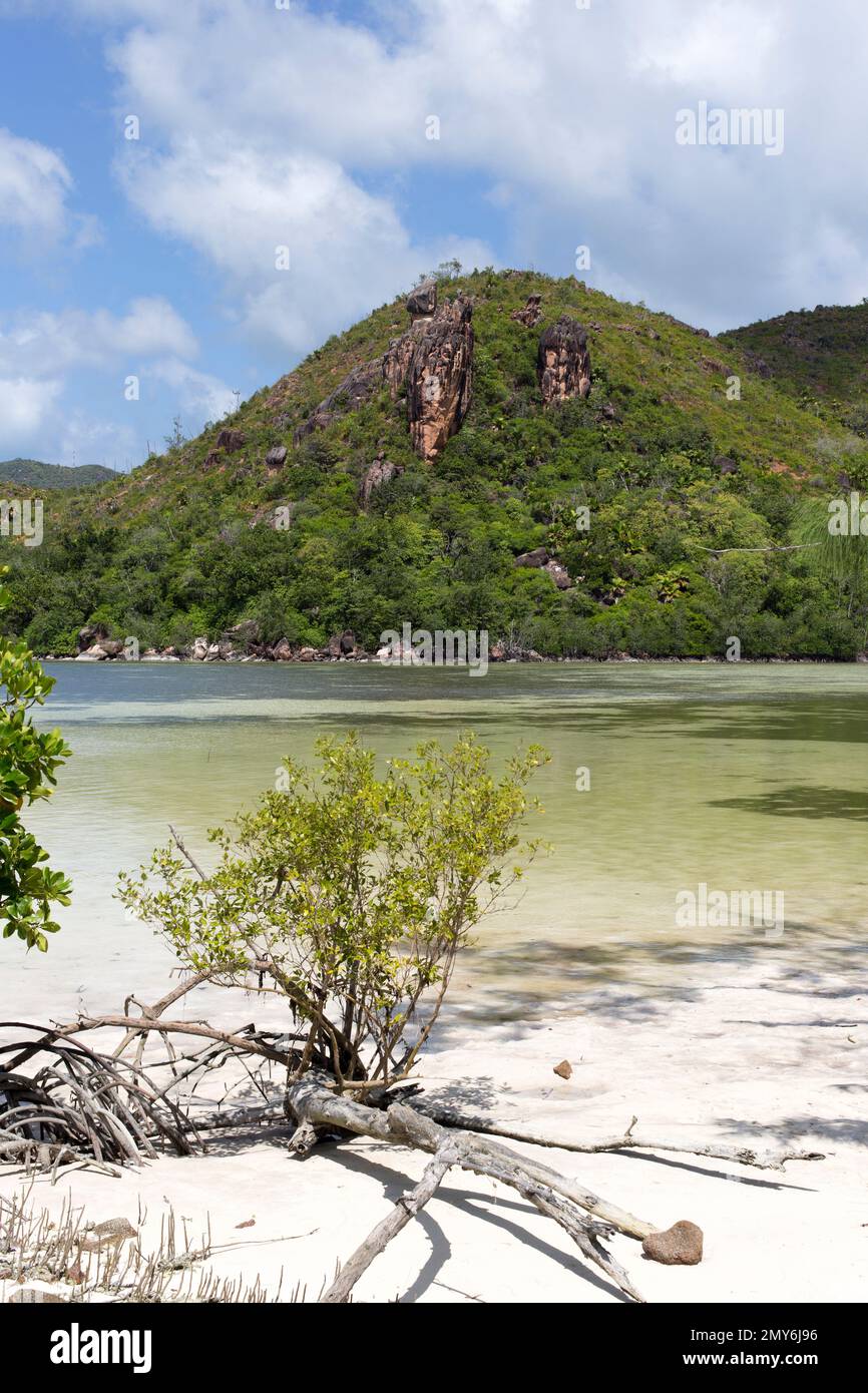 Photo of lagoon landscape in Seychelles island Stock Photo - Alamy