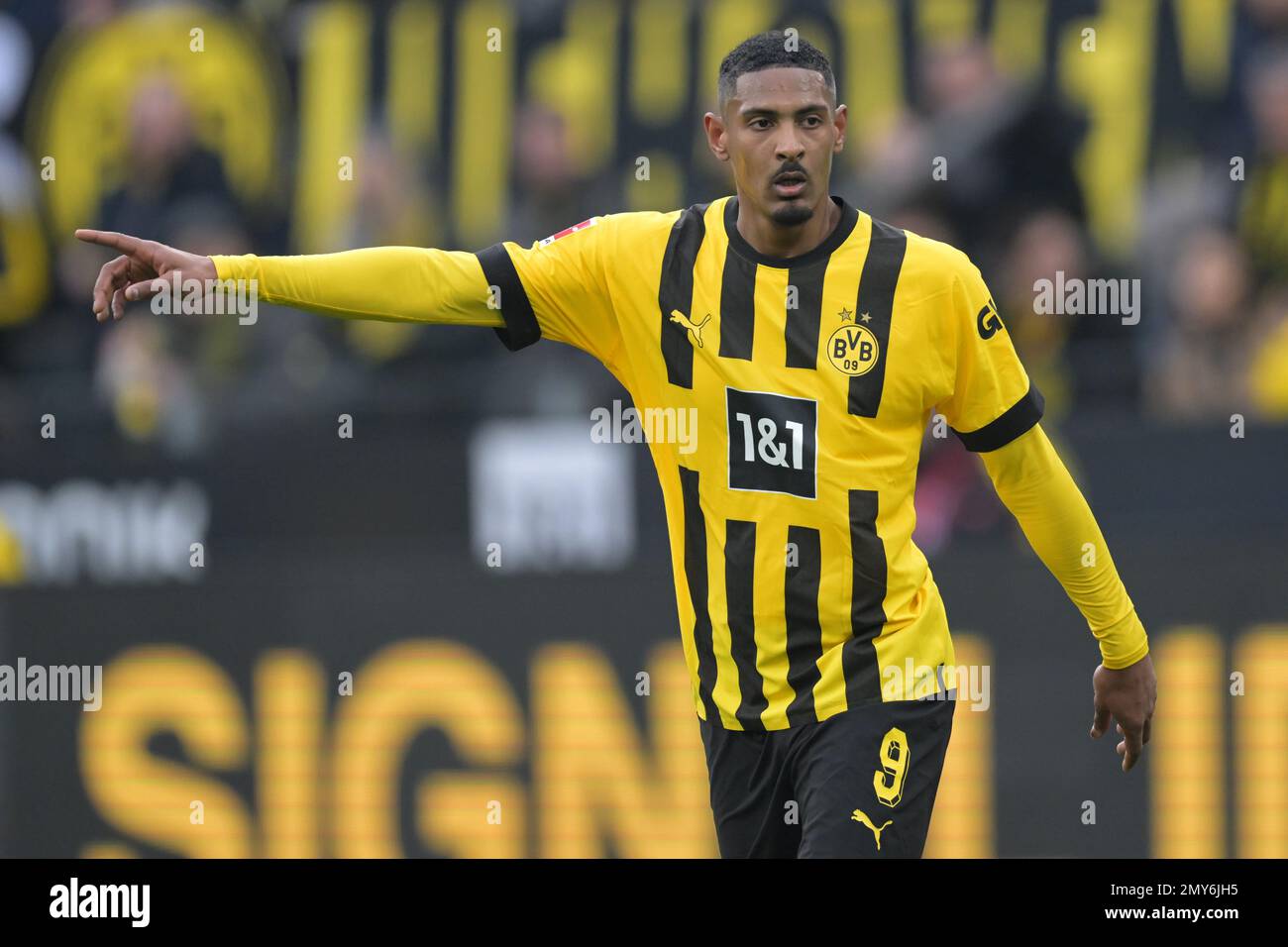 DORTMUND - Sebastien Haller of Borussia Dortmund during the Bundesliga ...