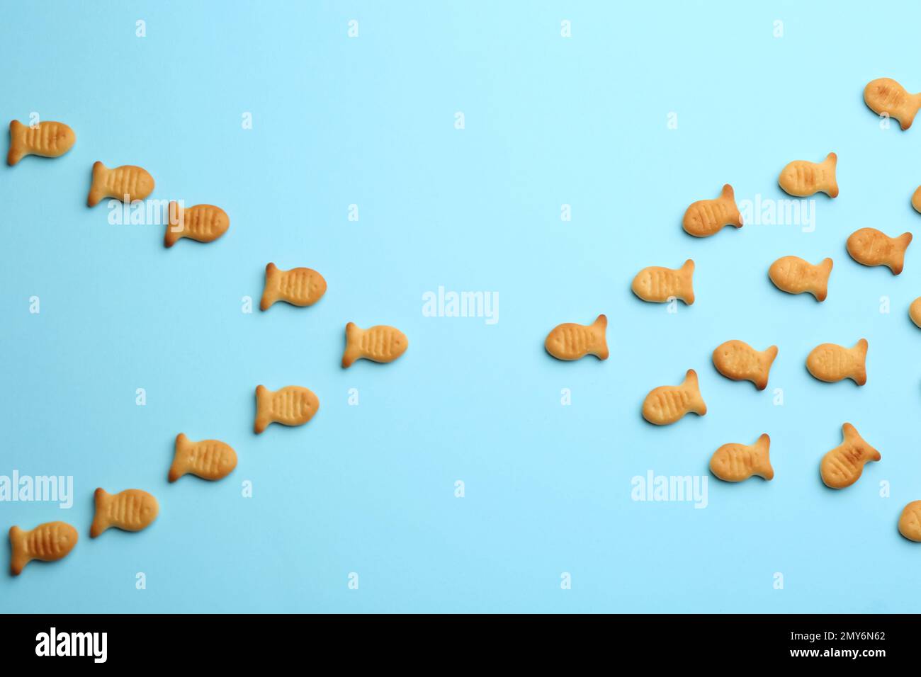 Delicious goldfish crackers on light blue background, flat lay Stock ...
