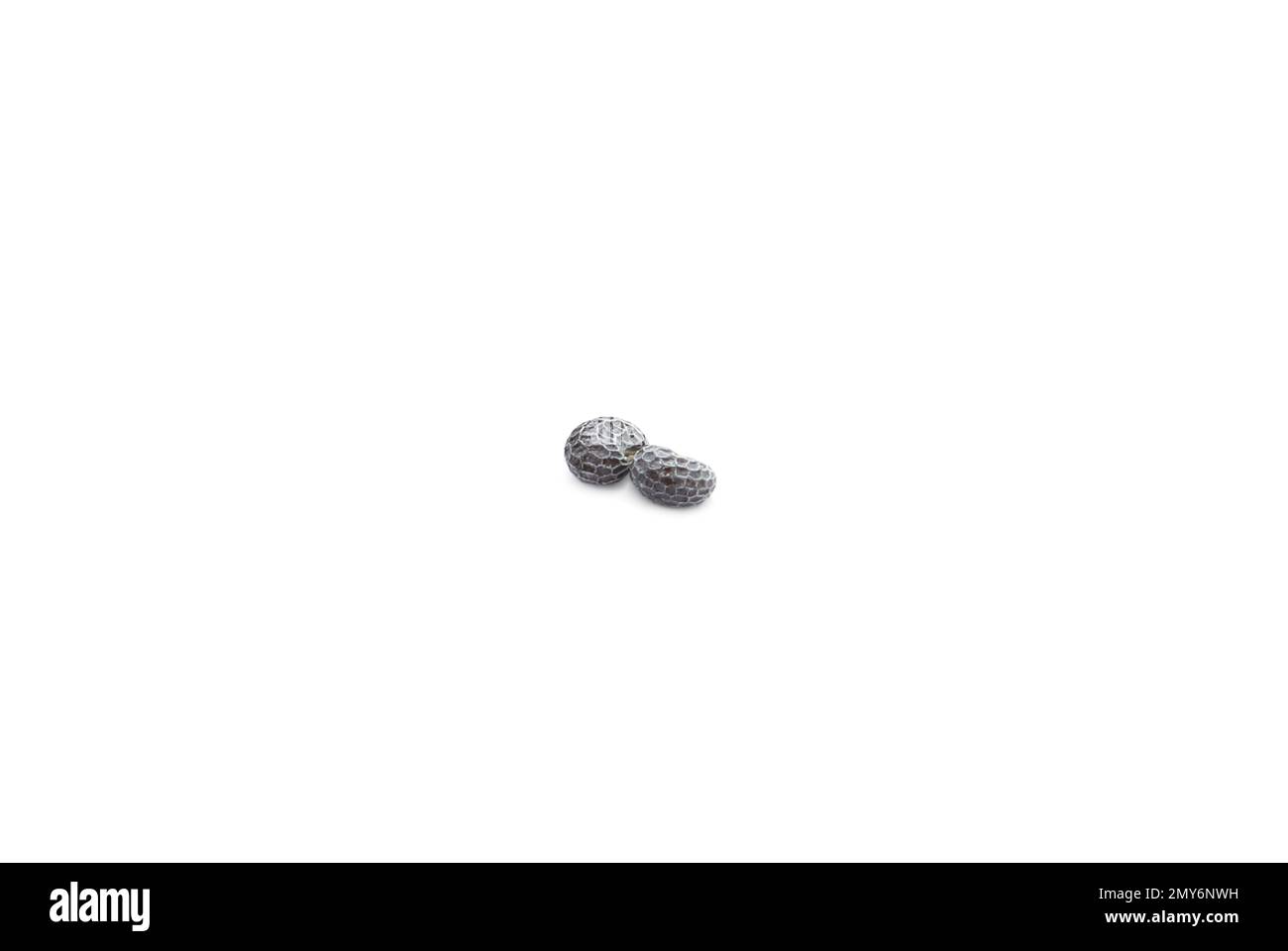 Two small poppy seeds isolated on white Stock Photo - Alamy