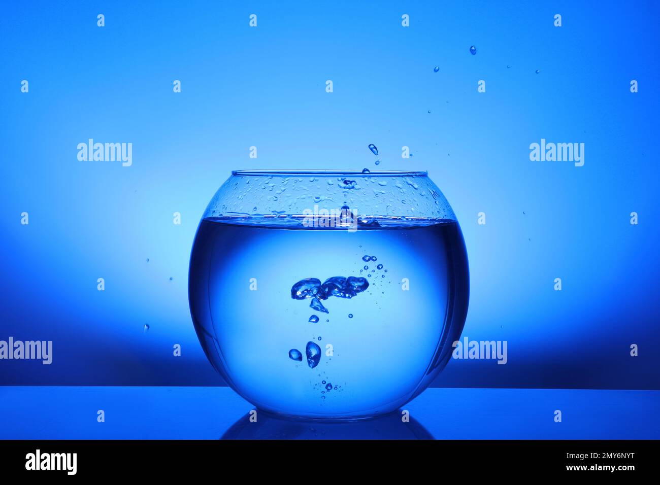 Fishbowl background hi-res stock photography and images - Alamy