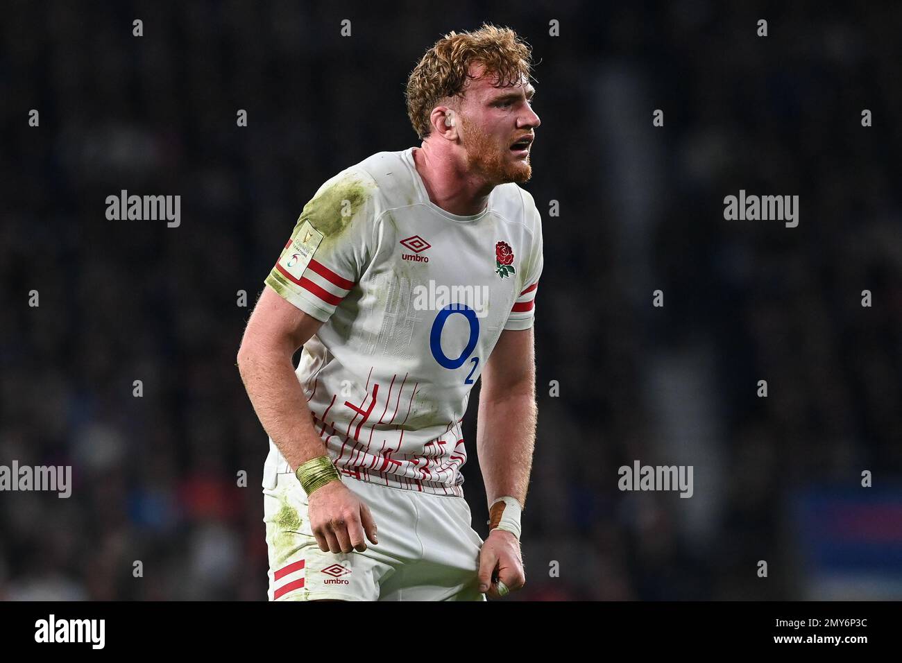Ollie Chessum of England during the 2023 Guinness 6 Nations match ...