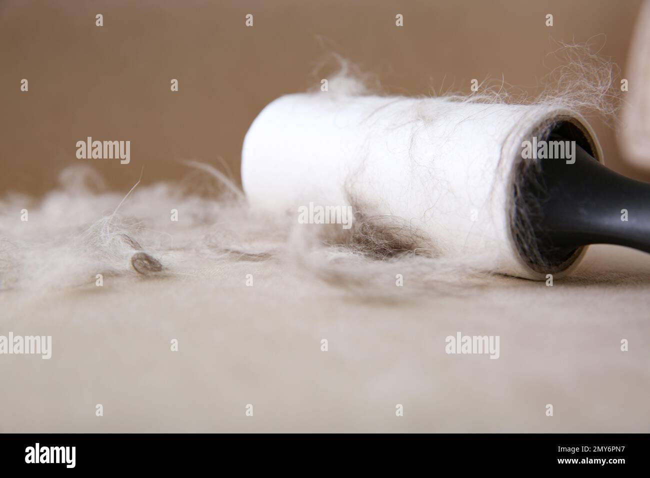 Remove cat hair hi-res stock photography and images - Alamy