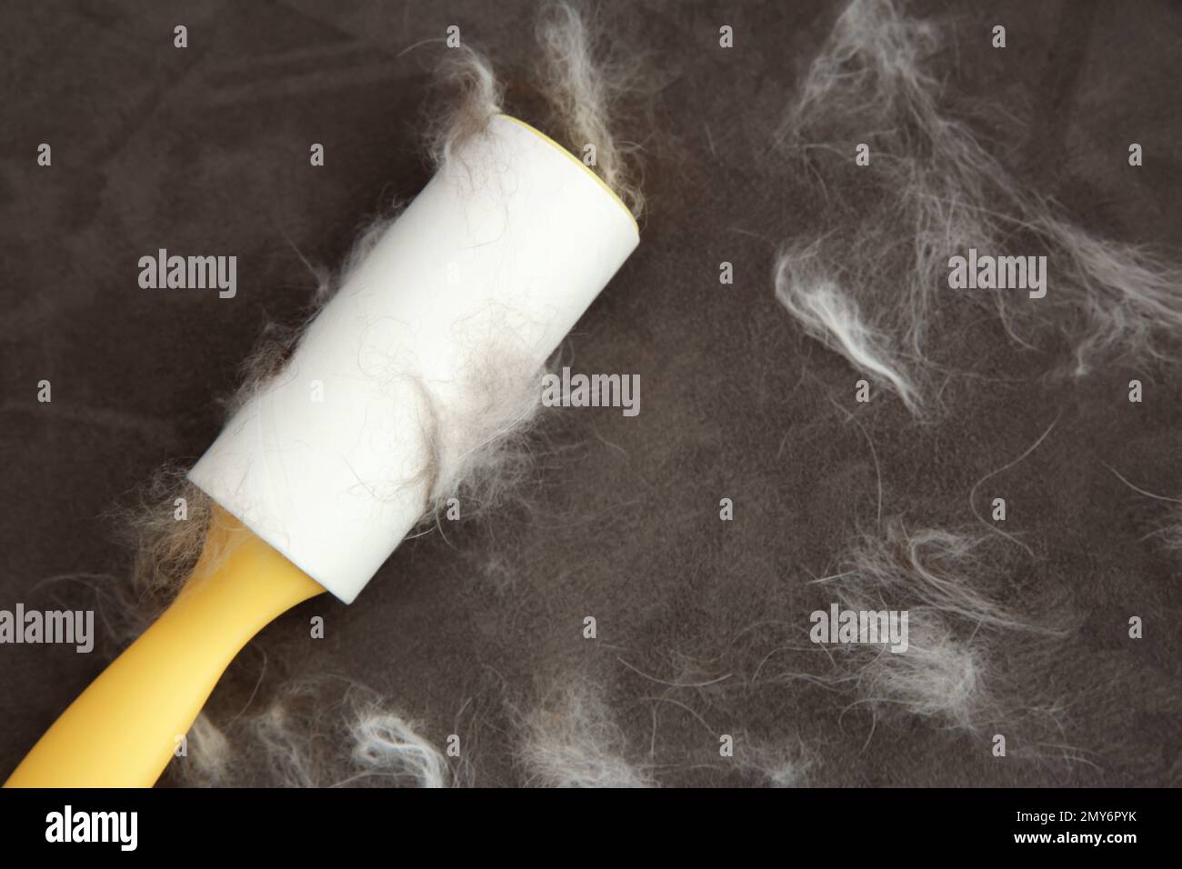 Remove cat hair hi-res stock photography and images - Alamy