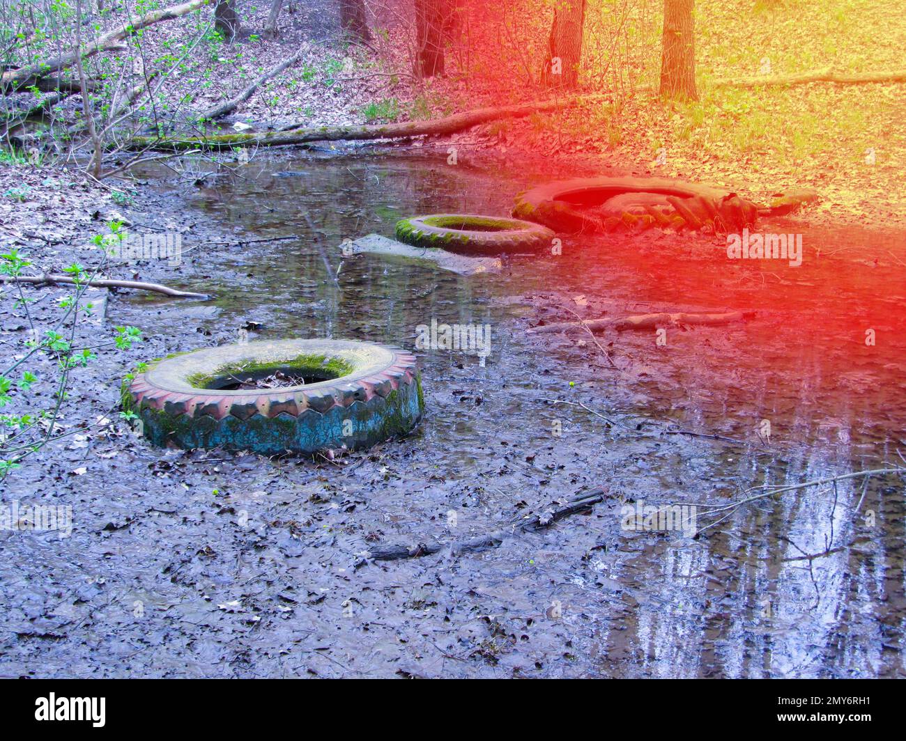 Trash in nature. Old truck tyre discarded in a forest covered in moss. Pollution and a bad ...