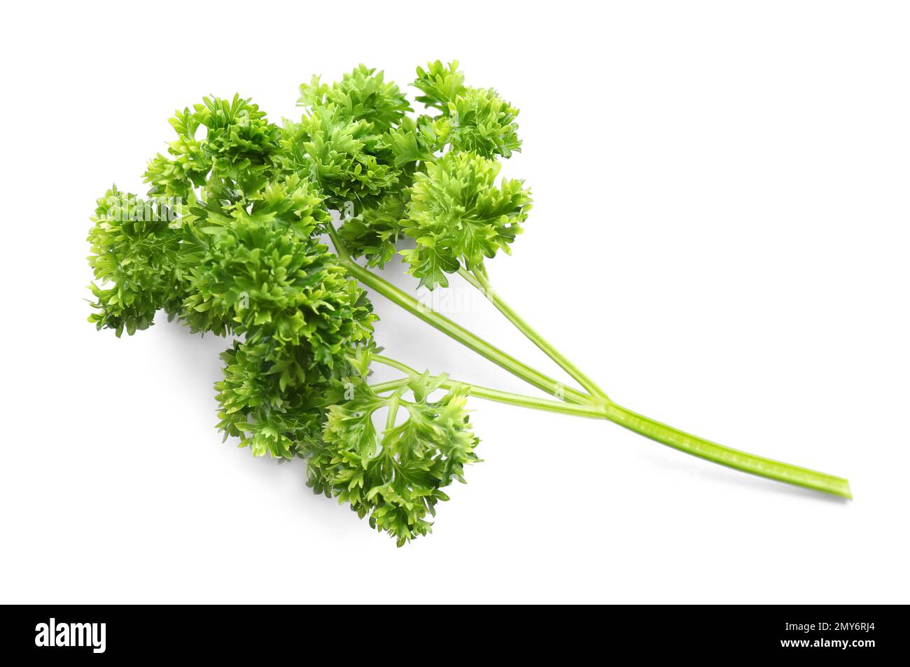 Fresh green curly parsley on white background Stock Photo - Alamy