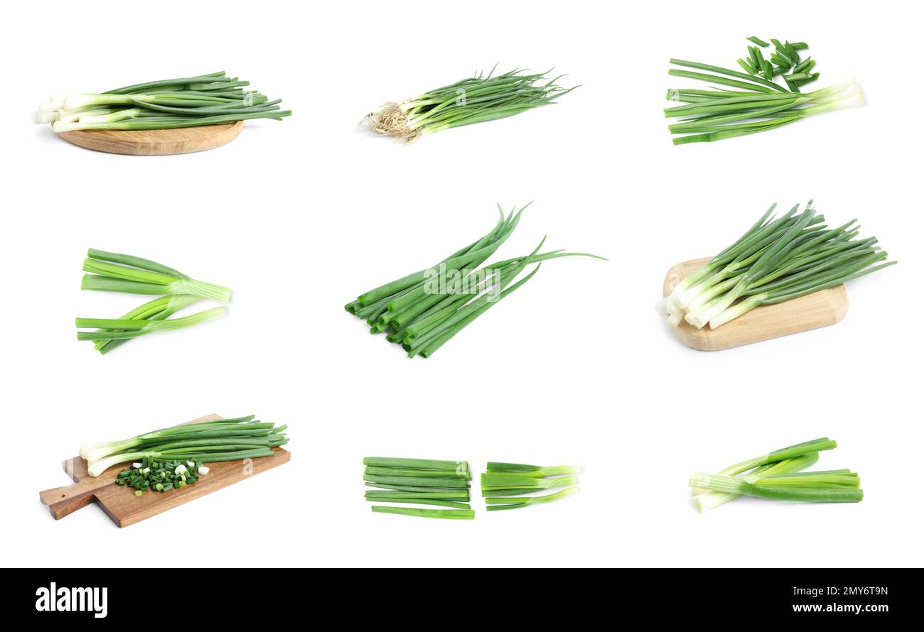 Collage with green spring onions on white background Stock Photo - Alamy