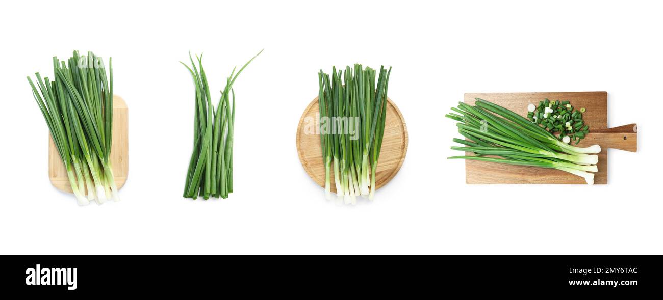 Collage with green spring onions on white background, top view. Banner ...