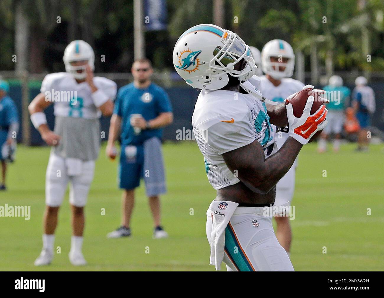 Damien Williams Rb Dolphins