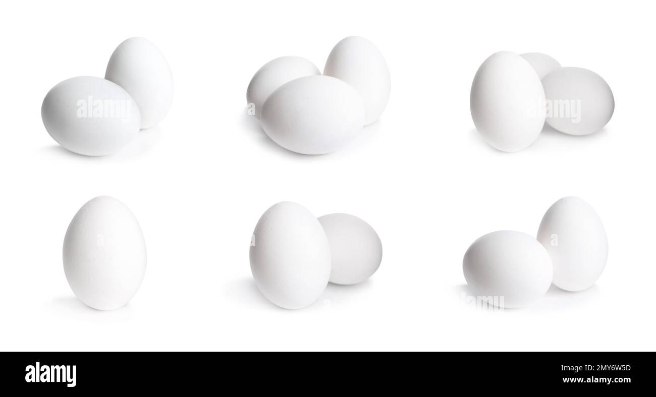 Set of fresh eggs on white background, banner design Stock Photo - Alamy