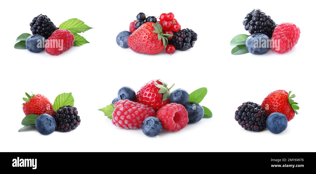 Set of different mixed berries on white background, banner design Stock ...