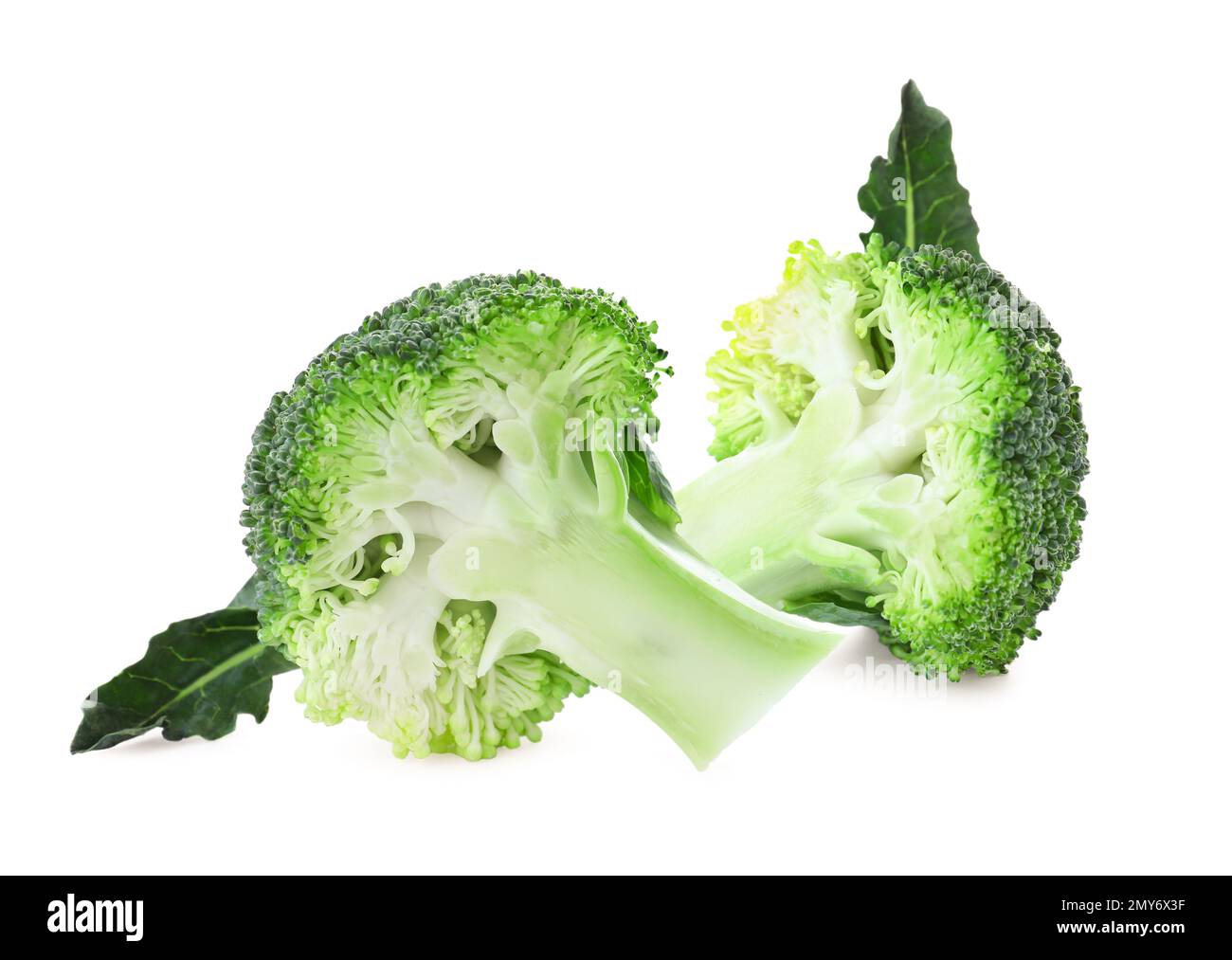 Fresh green broccoli on white background. Edible plant Stock Photo - Alamy