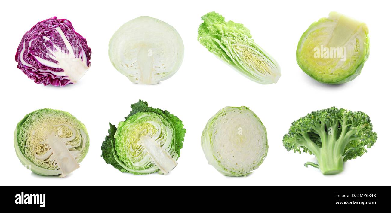 Set of various fresh ripe cabbages on white background. Banner design ...