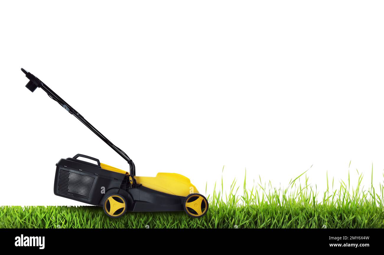 Modern garden lawn mower cutting green grass, white background Stock ...