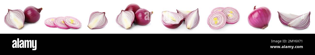 Set of red cut and whole onion on white background. Banner design Stock ...