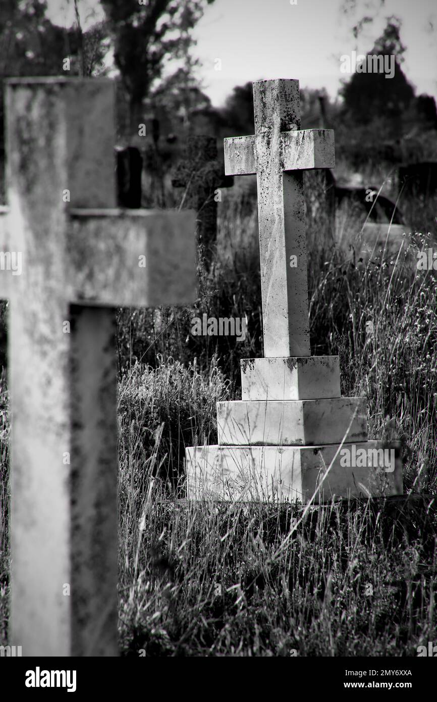 A vertical grayscale of a cross-shaped grave in the cemetery Stock ...