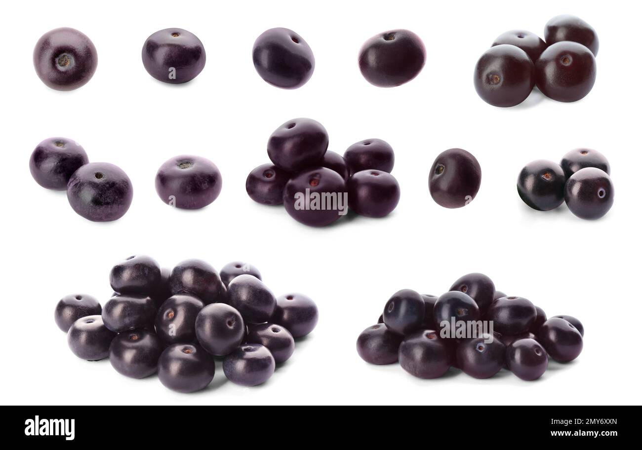 Set of fresh acai berries on white background Stock Photo - Alamy