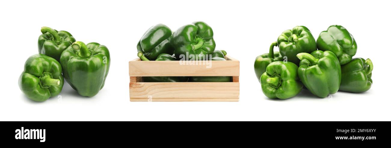 Set of fresh green bell peppers on white background. Banner design ...