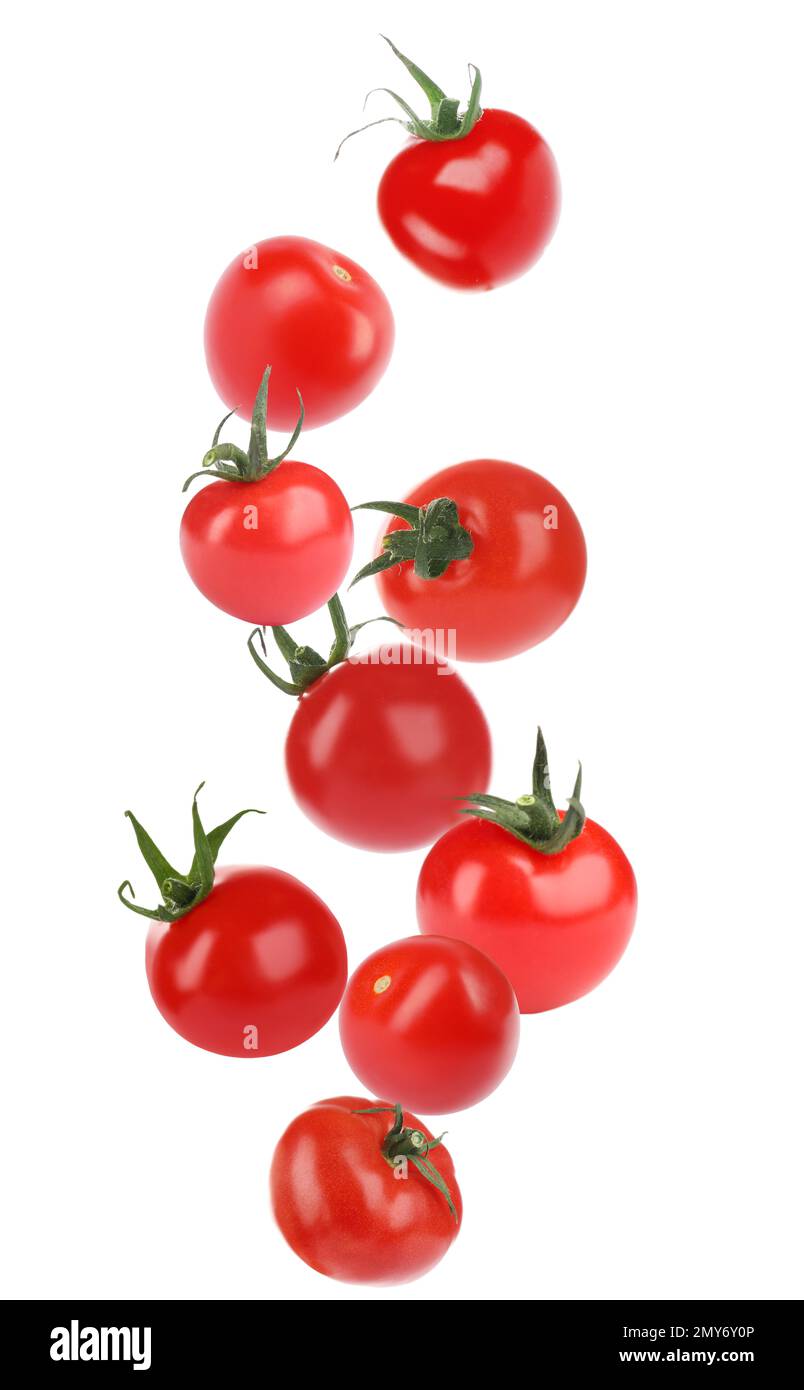 Many whole tomatoes falling on white background Stock Photo - Alamy