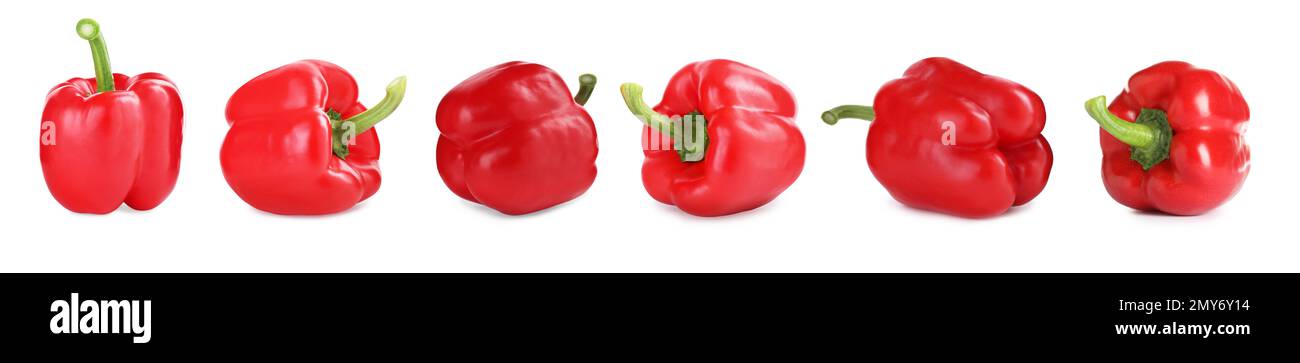 Set of red bell peppers on white background. Banner design Stock Photo ...