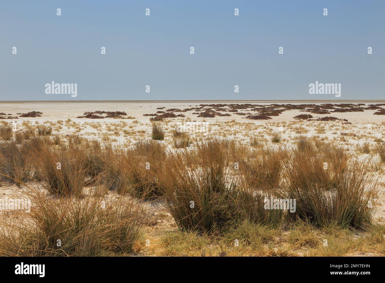 Cuvelai etosha basin hi-res stock photography and images - Alamy