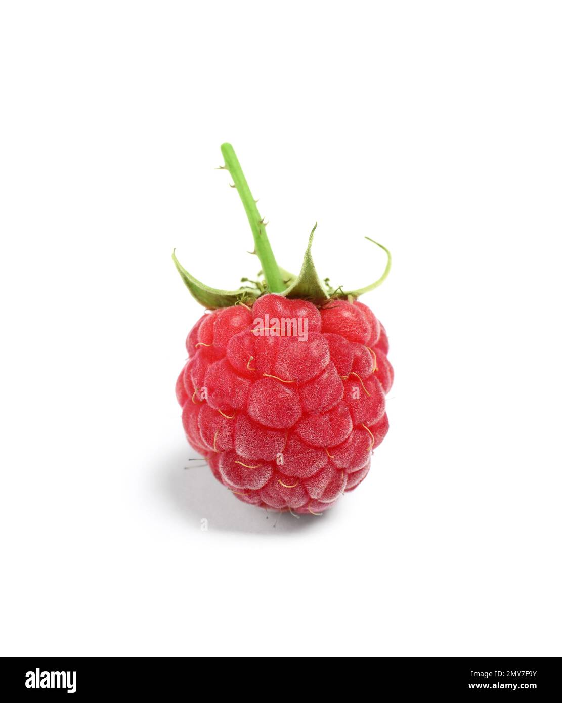 Delicious fresh ripe raspberry isolated on white Stock Photo - Alamy